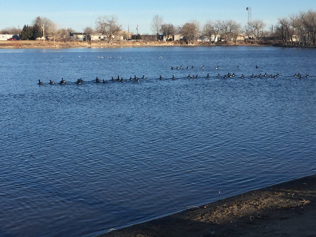 #165 – Petition : Search Terry Lake – Daily News by Hale Multimedia