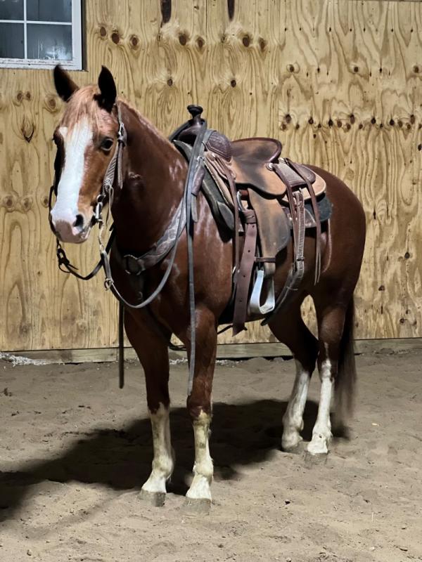 2124-norman-yoder-1 – Daily News by Hale Multimedia