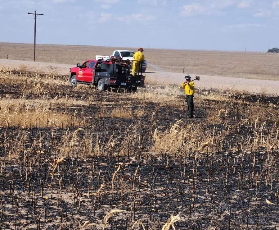 Bushnell Fire Response – Daily News by Hale Multimedia