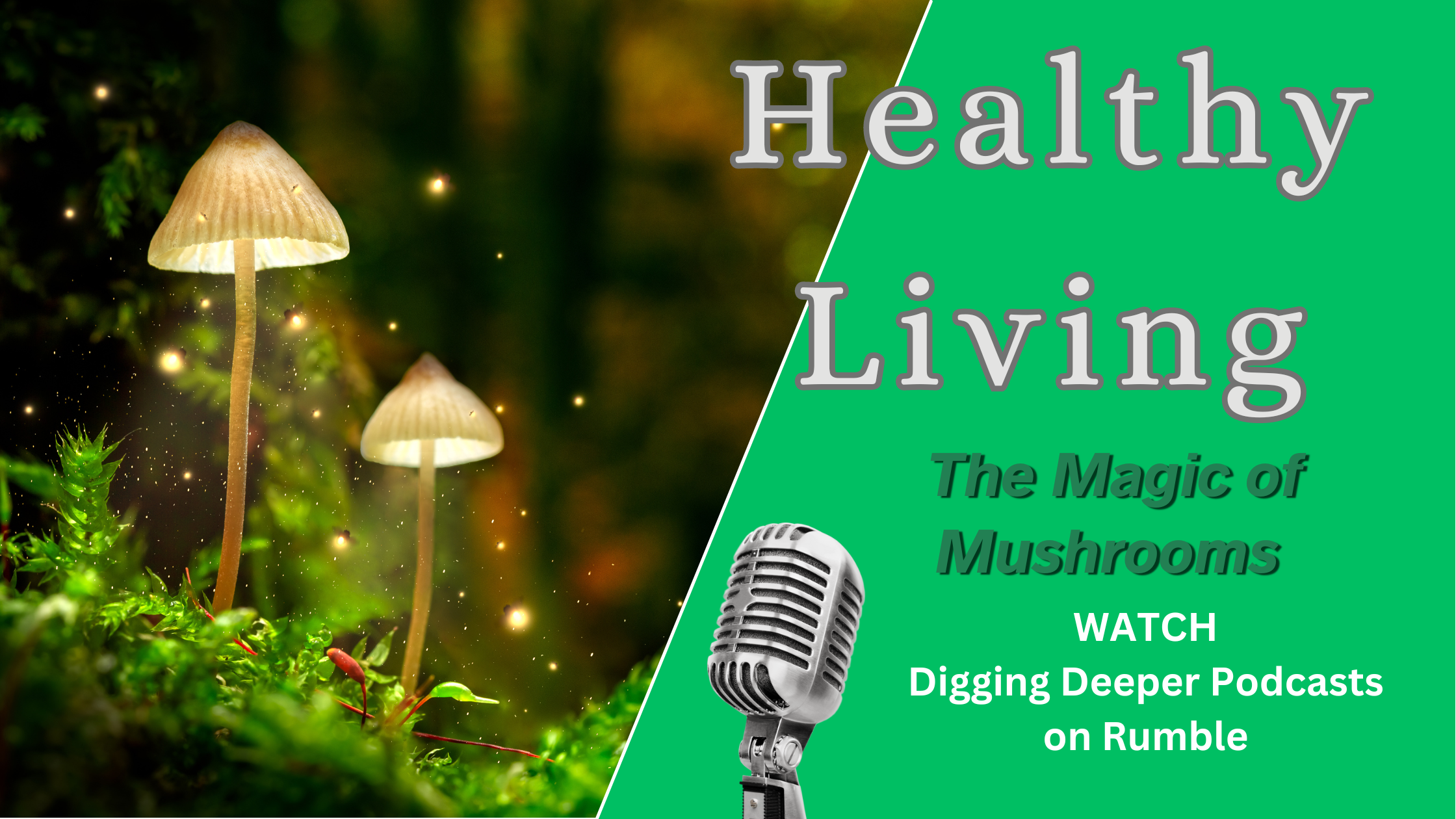 Healthy Living Magic of Mushrooms Wide – Hale Multimedia LLC