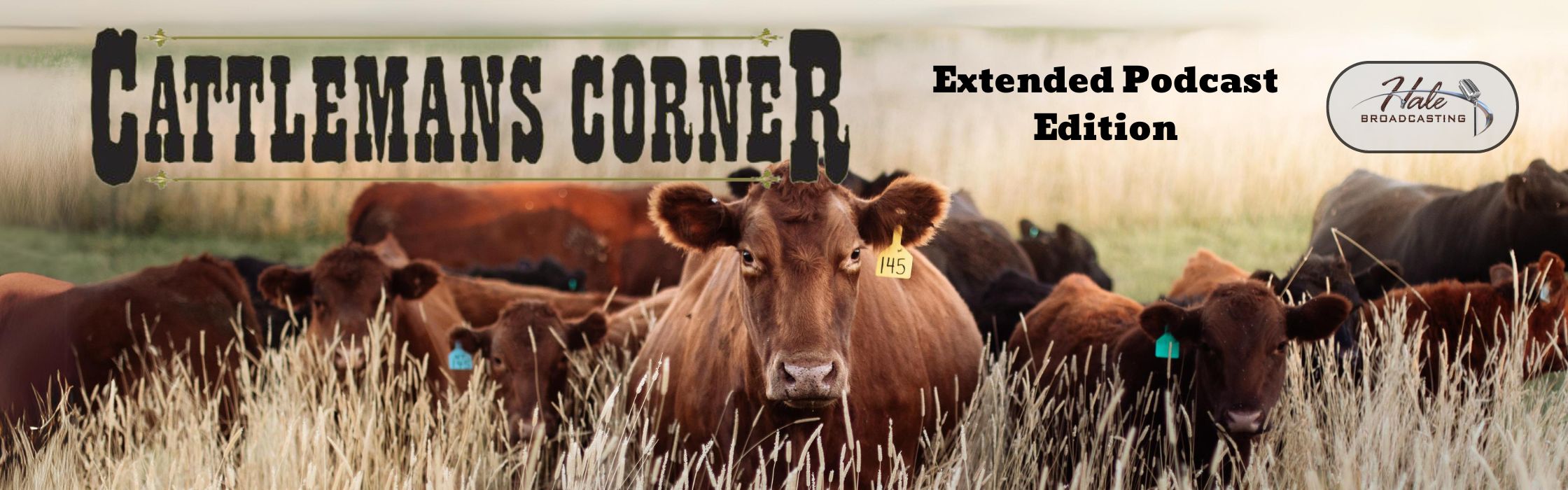 Cattlemans Corner Weekend podbean banner – Hale Multimedia LLC