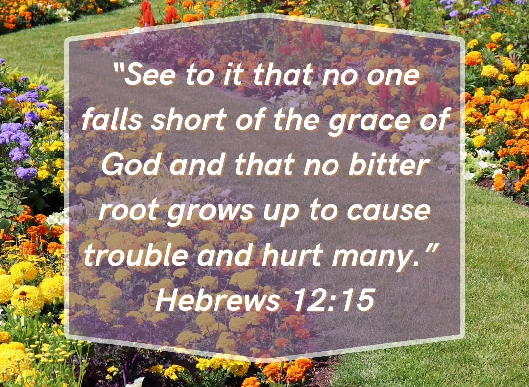 Hebrews12-15 – Daily News by Hale Multimedia